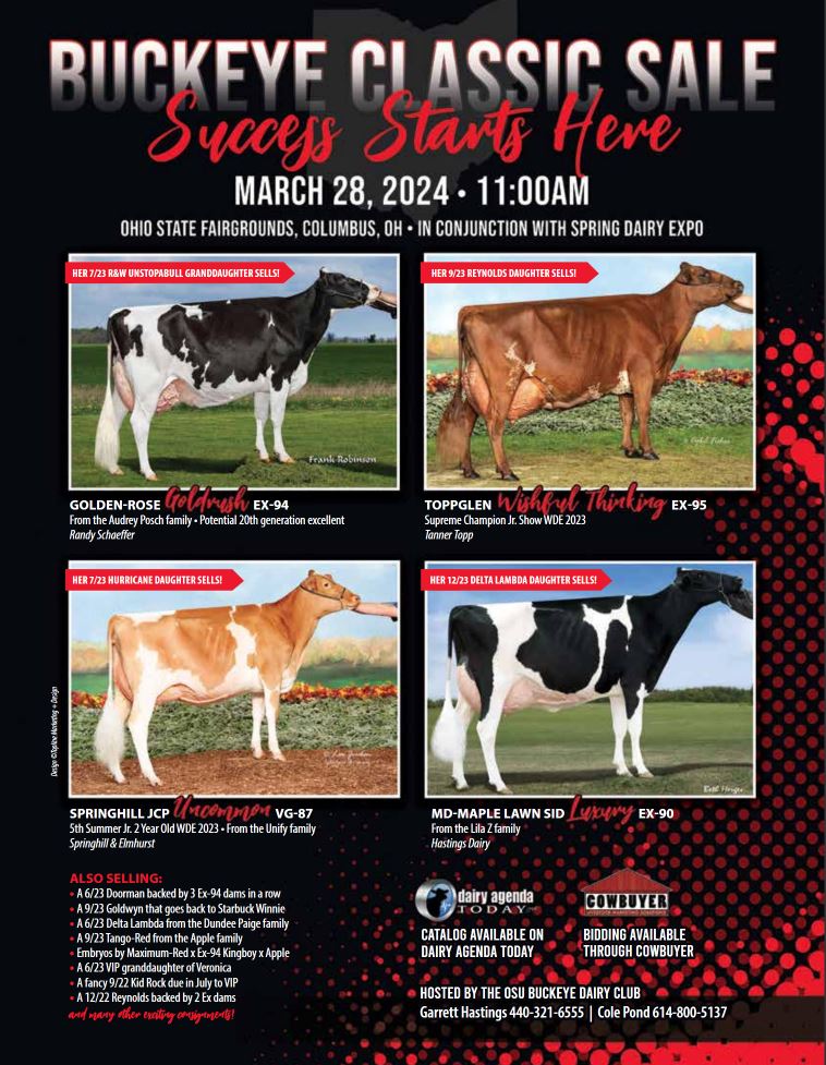 Red and White Holstein All American’s Named – Ohio Holstein Association