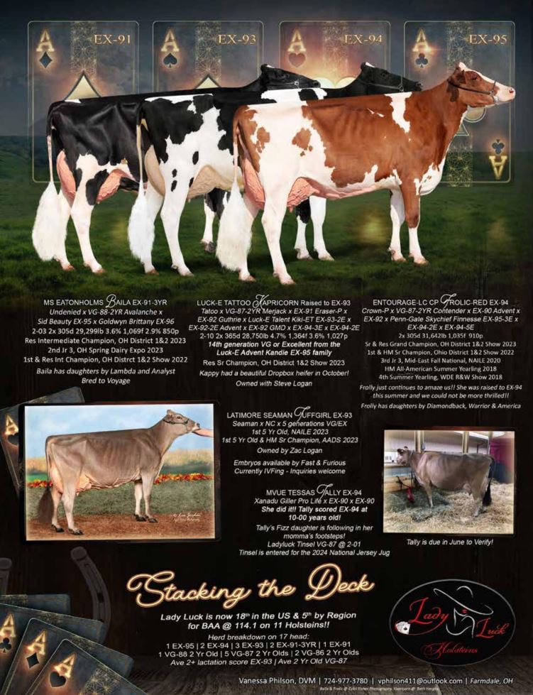 Ohio Holstein Association
