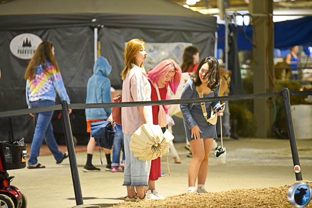 spring calf-2425 – Ohio Holstein Association