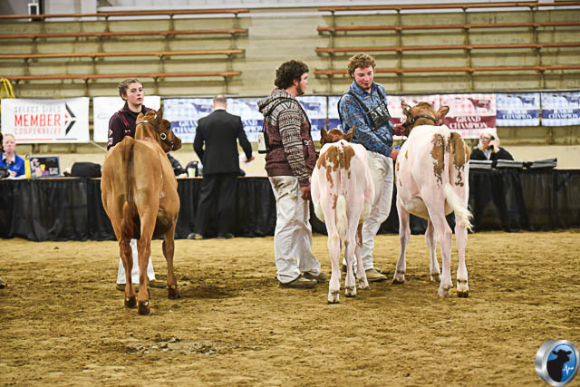 Fall Calf-2443 – Ohio Holstein Association