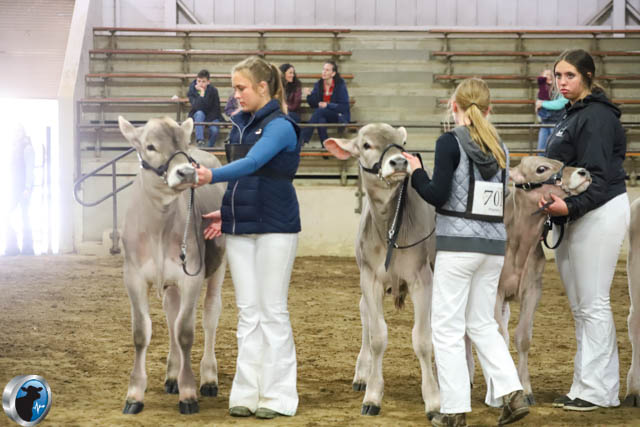 Jr Jr Champ-1050 – Ohio Holstein Association