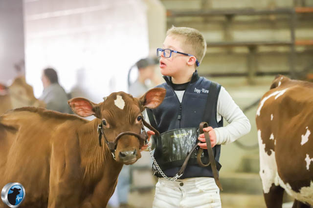 Jr Jr Champ-1200 – Ohio Holstein Association