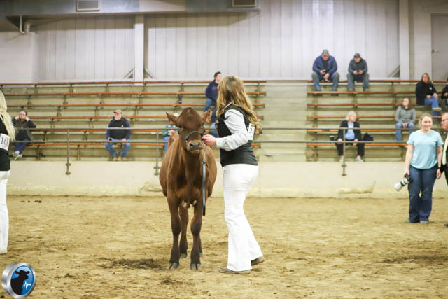 Open Jr Champ-1209 – Ohio Holstein Association