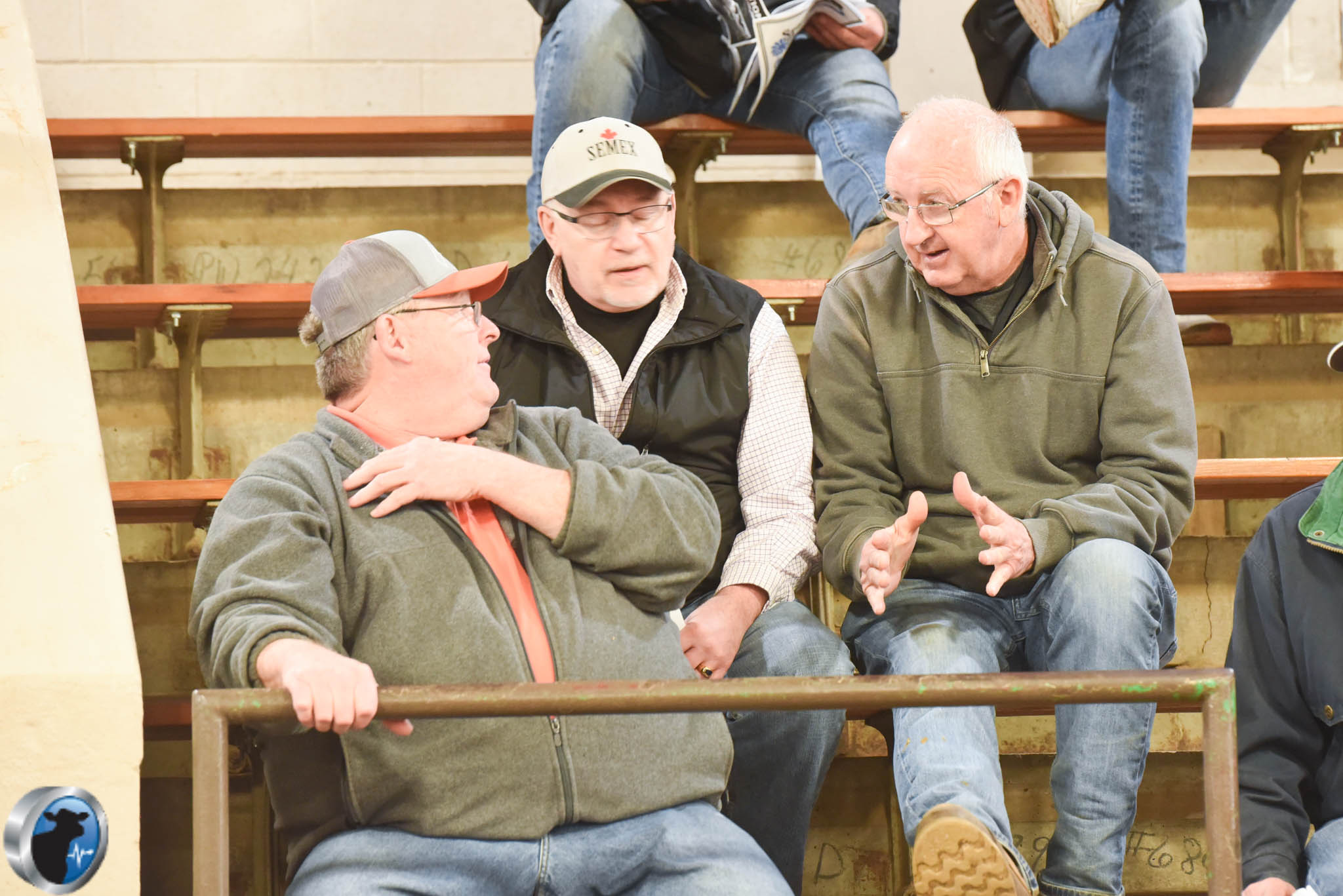 Aged Cow-5681 – Ohio Holstein Association